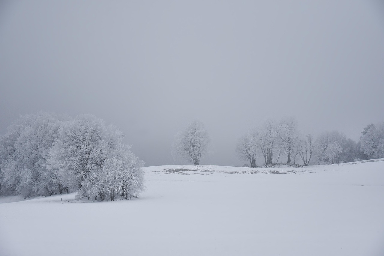 Natureza Neve - Foto gratuita no Pixabay - Pixabay