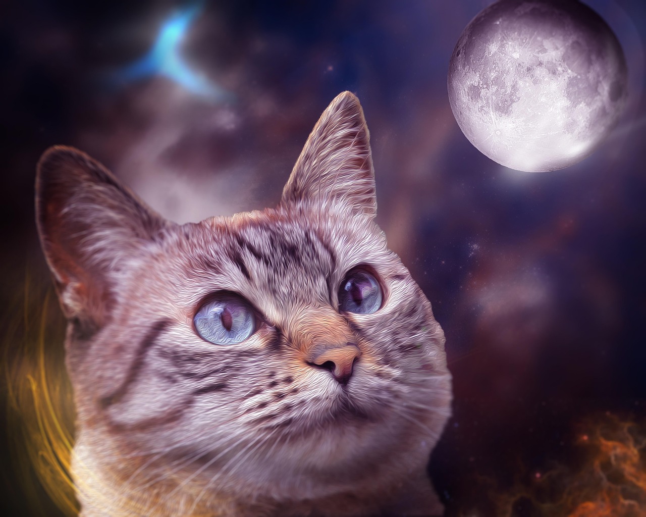 Space Cat Desktop Wallpaper