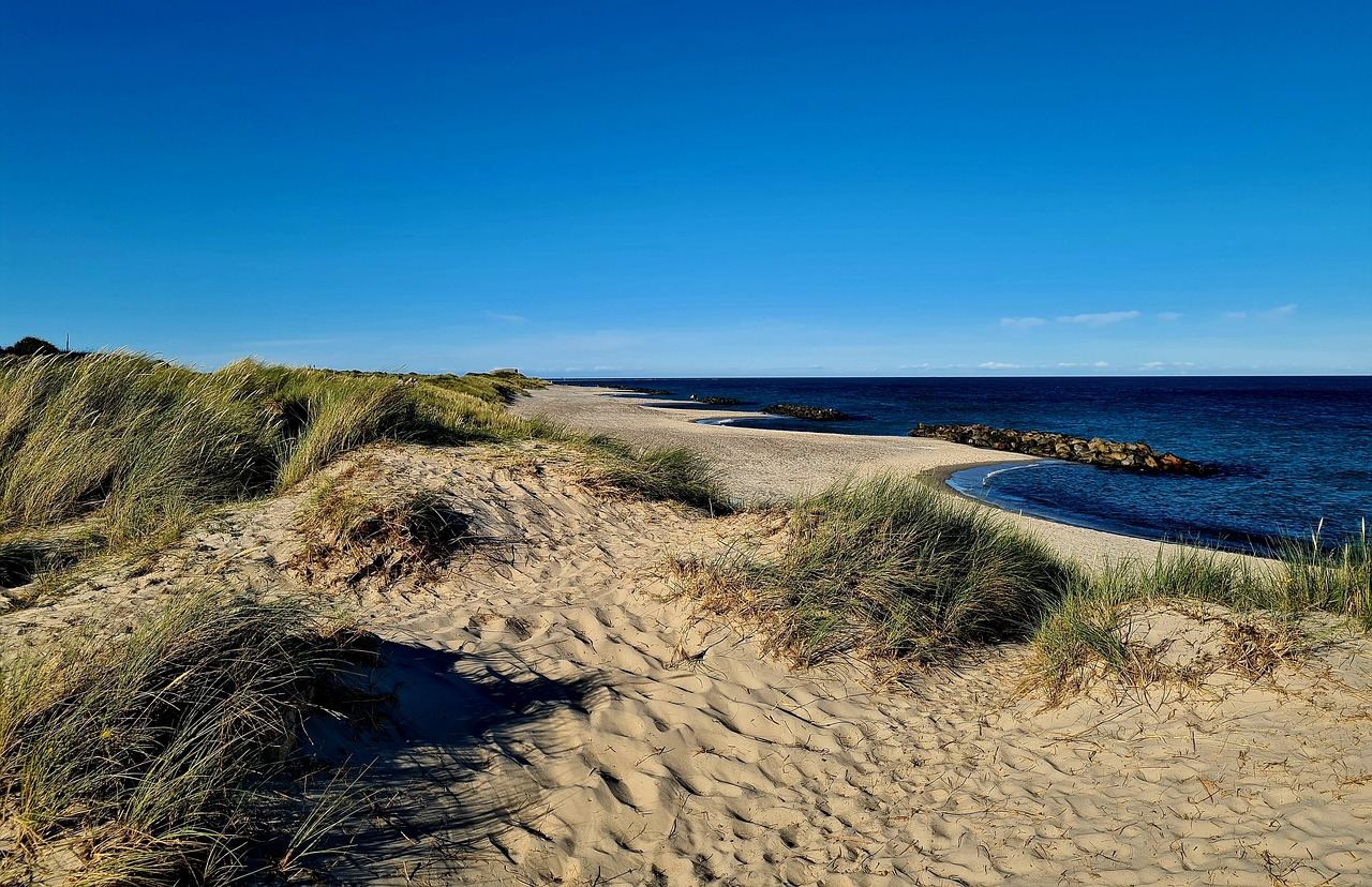 Playa Mar Dunas De Arena - Foto gratis en Pixabay - Pixabay