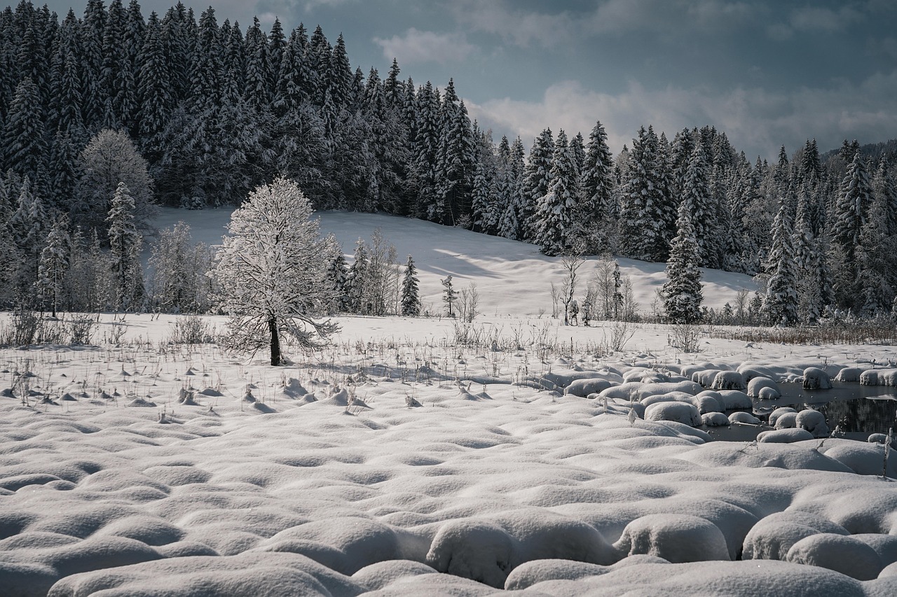 Snow Winter Mountains - Free photo on Pixabay - Pixabay