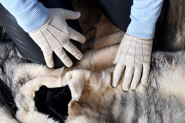Fur Coat Hands - Free photo on Pixabay - Pixabay