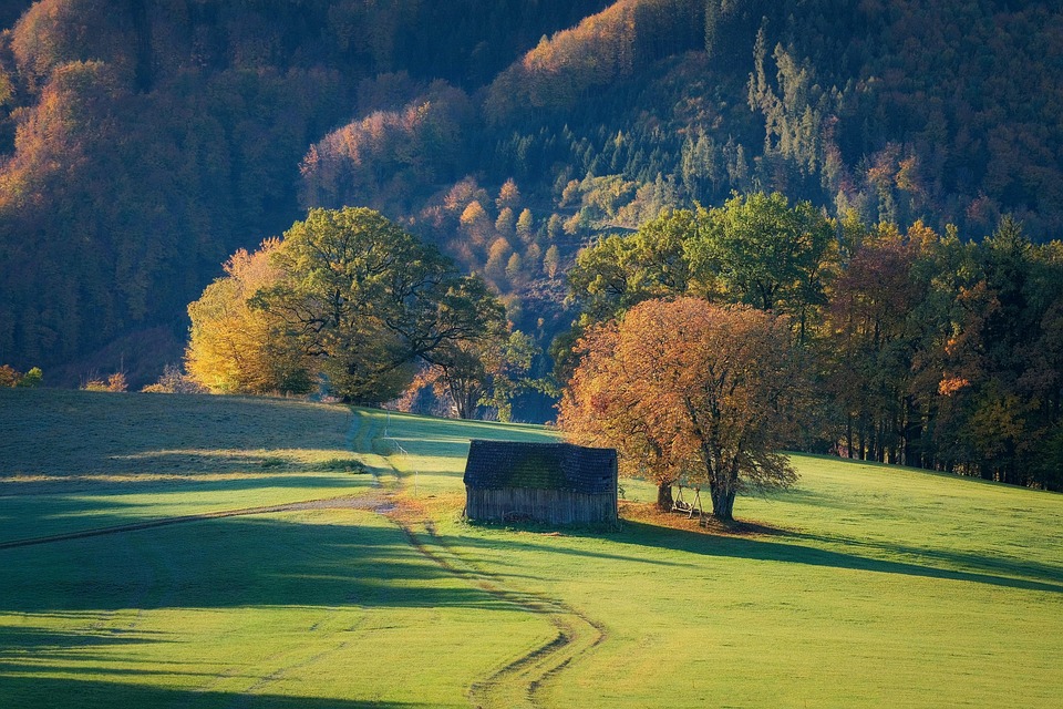 Alpine Hut Fall Nature - Free photo on Pixabay