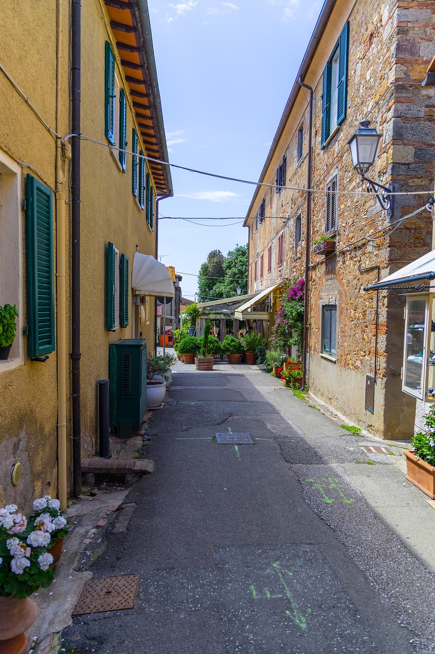 Bolgheri Enólogo Bodega Vino - Foto gratis en Pixabay - Pixabay