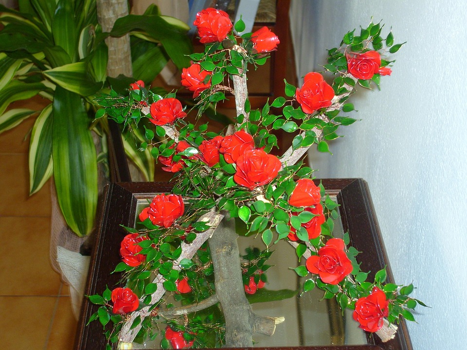 Tronc De Roses La Créativité Amour - Photo gratuite sur Pixabay - Pixabay
