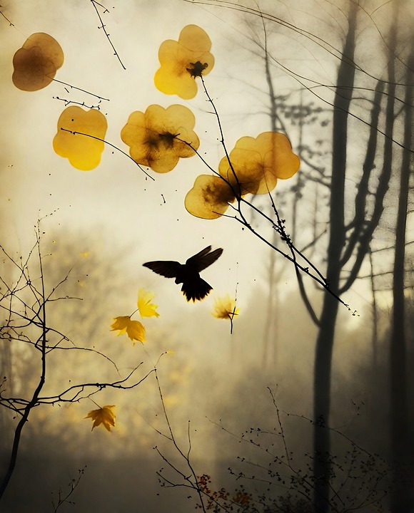 Download Ethereal Flowers, Floral, Botanical. Royalty-Free Stock ...