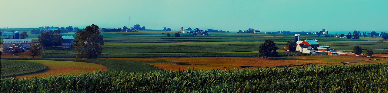 Farmland Farms Green - Free photo on Pixabay - Pixabay