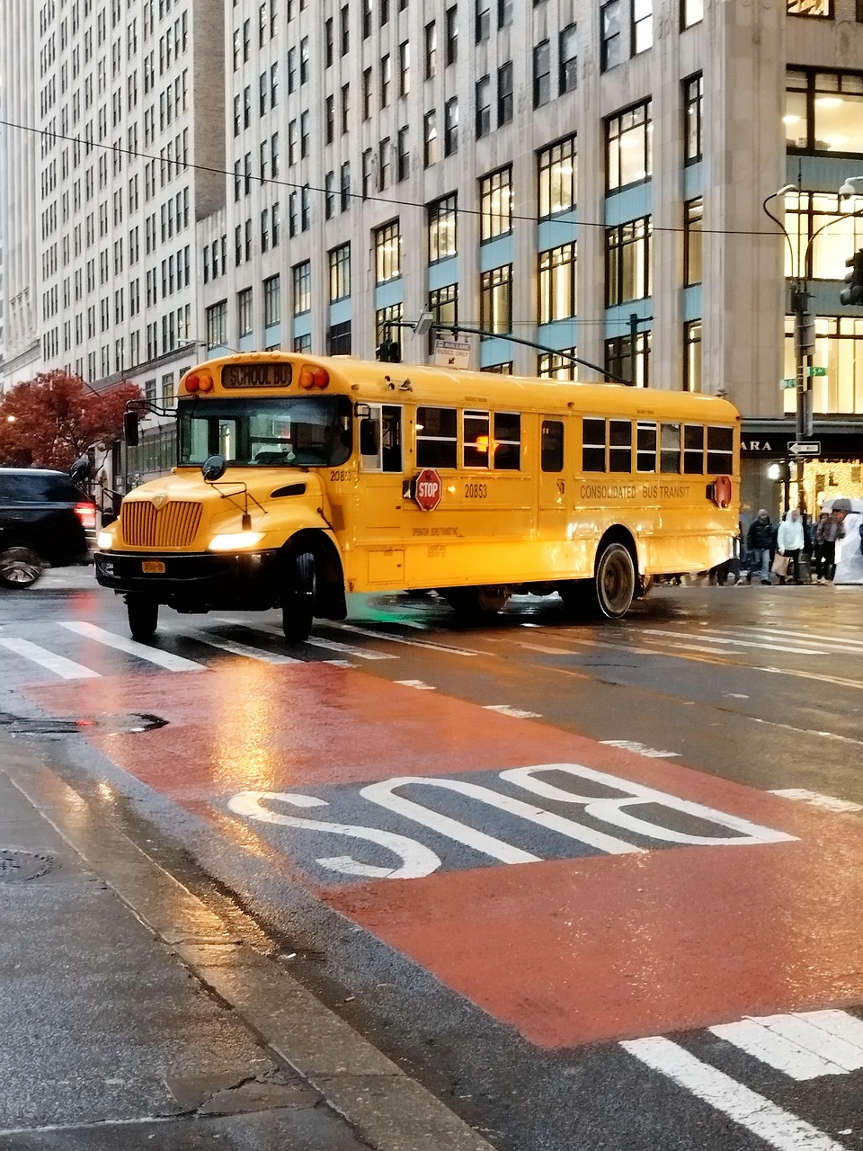 United States America Bus - Free photo on Pixabay - Pixabay