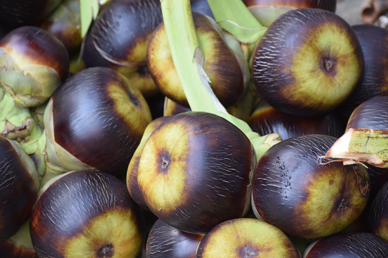 Palma Fruta Comida - Foto gratis en Pixabay - Pixabay