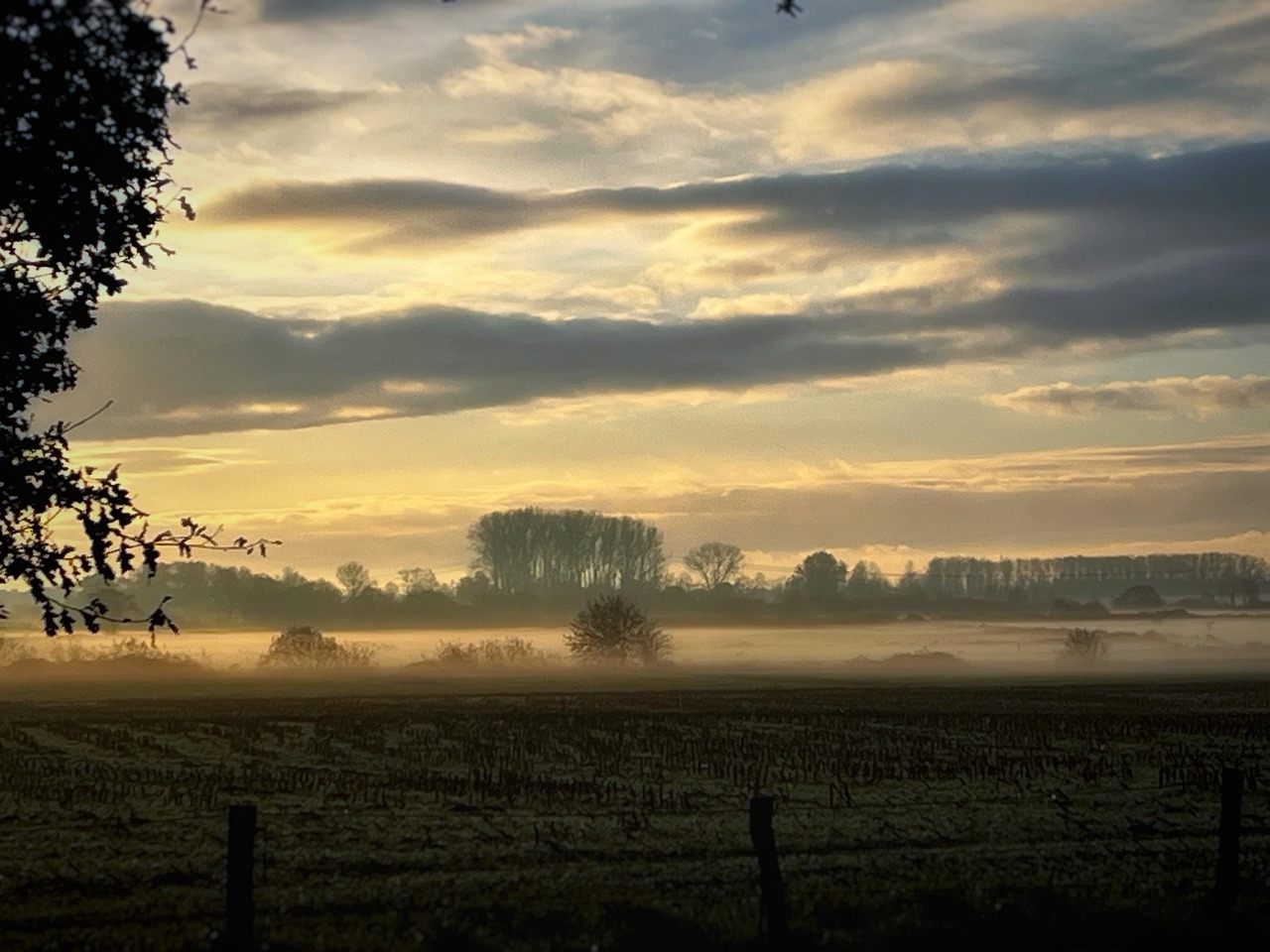 Nature Tomorrow Forest - Free photo on Pixabay - Pixabay