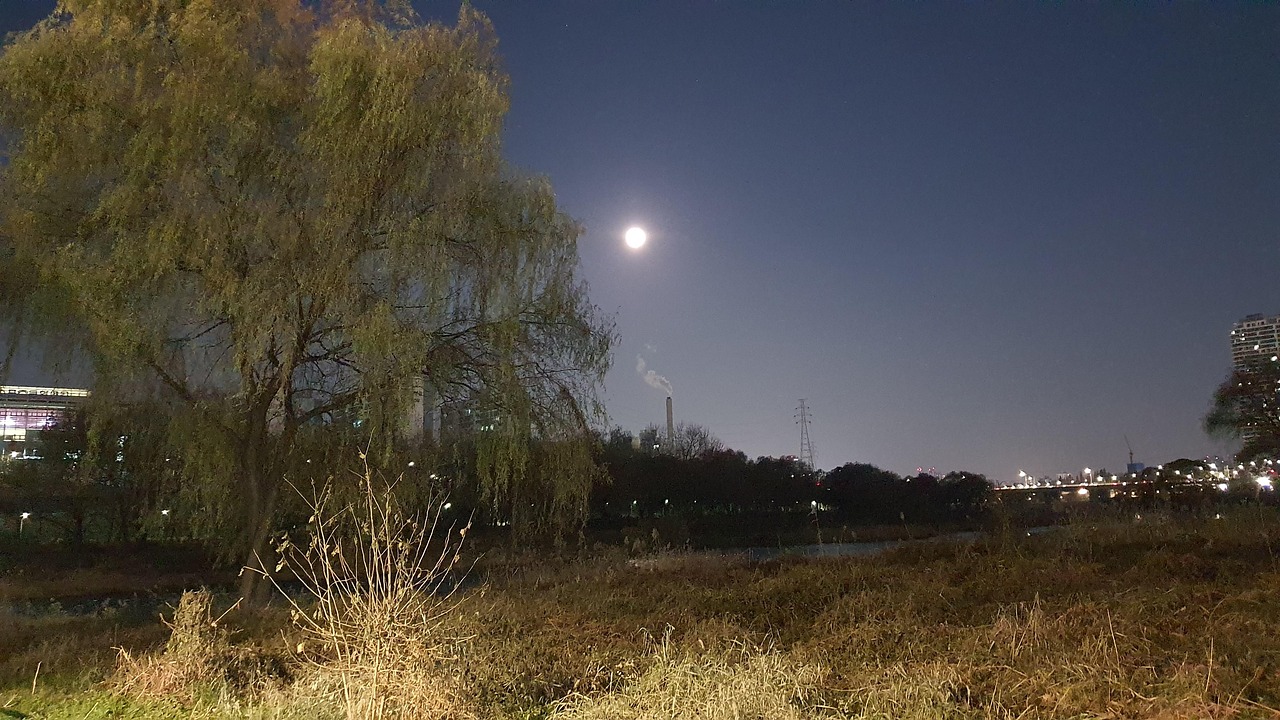 Moon In The Evening Night Sky - Free photo on Pixabay - Pixabay