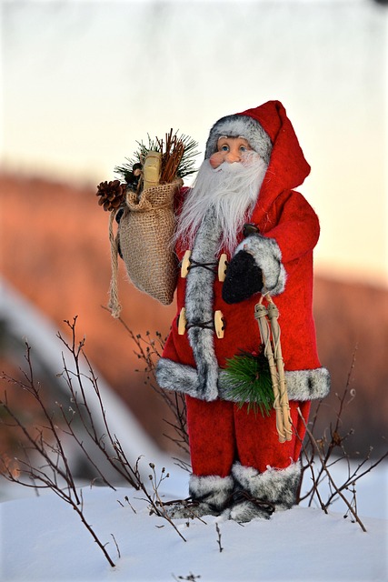 Santa Claus Winter Nature - Free photo on Pixabay