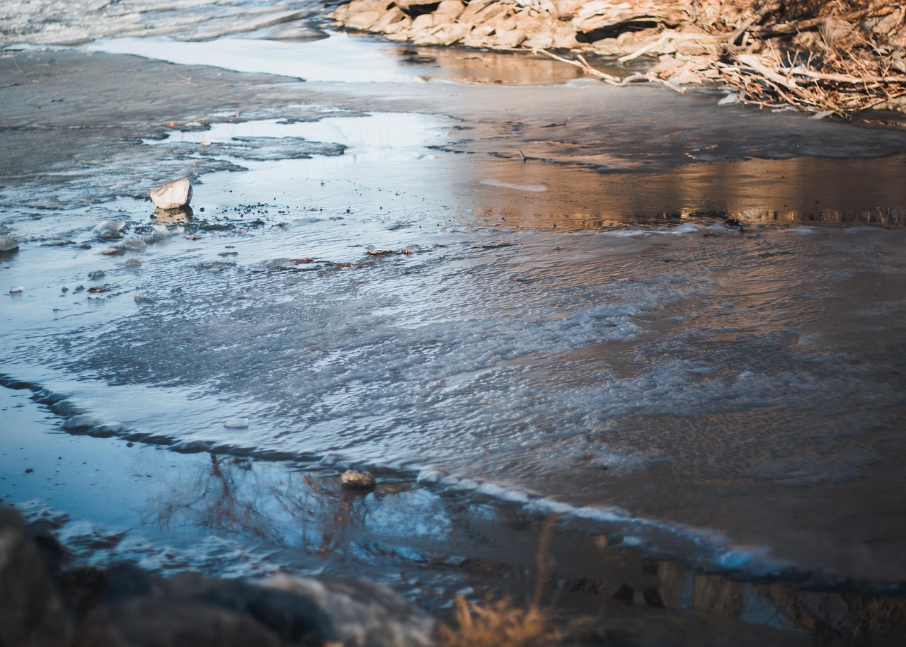 Water River Nature - Free photo on Pixabay - Pixabay
