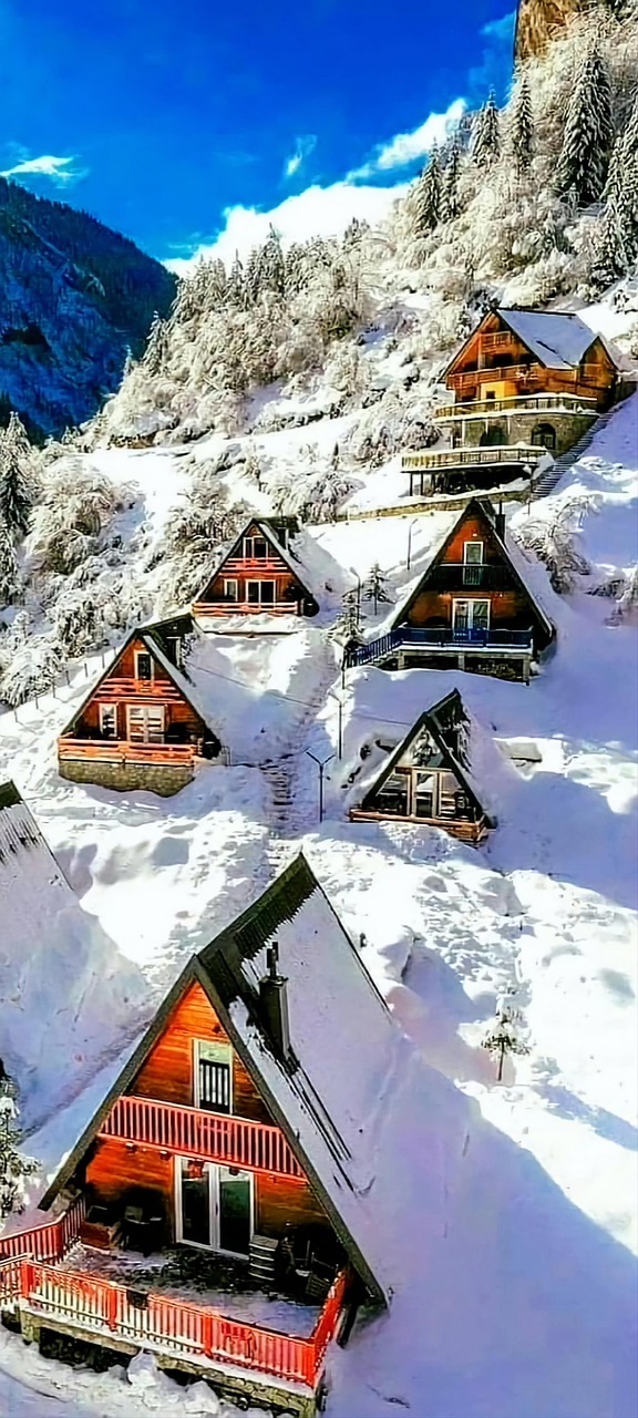 Vacaciones De Invierno Solo Casa - Foto gratis en Pixabay - Pixabay