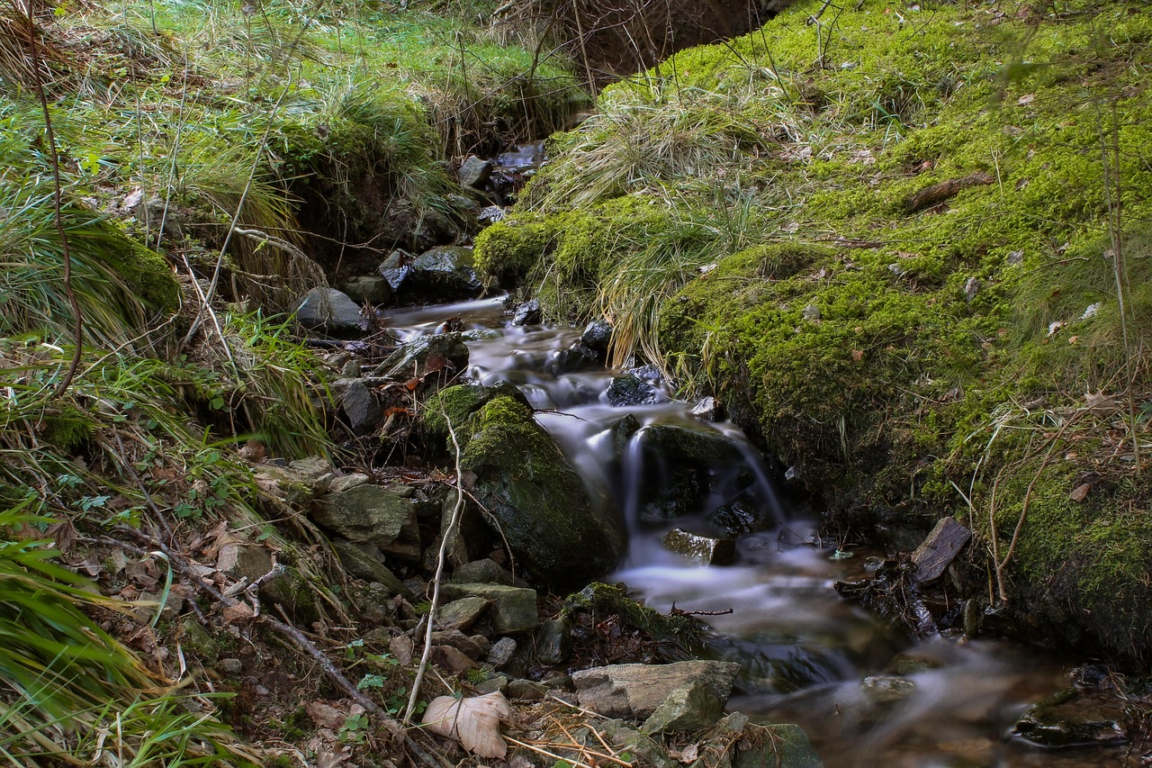Ruisseau Couler L'Eau - Photo gratuite sur Pixabay - Pixabay