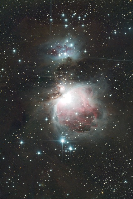 Orion Nebula Emission Fog Starry - Free photo on Pixabay