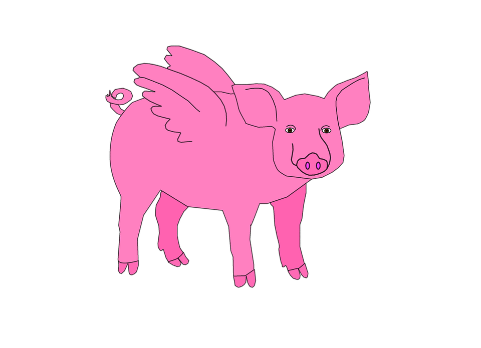 Schwein Fliegend Tier - Kostenloses Bild auf Pixabay - Pixabay