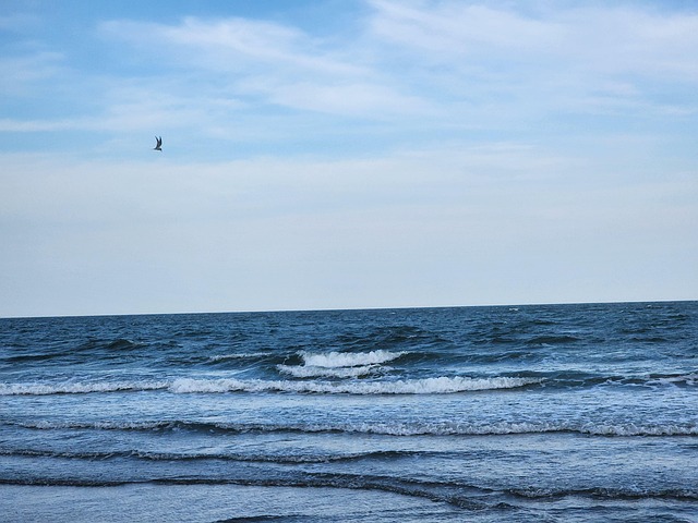 Mer La Nature Vague - Photo gratuite sur Pixabay - Pixabay