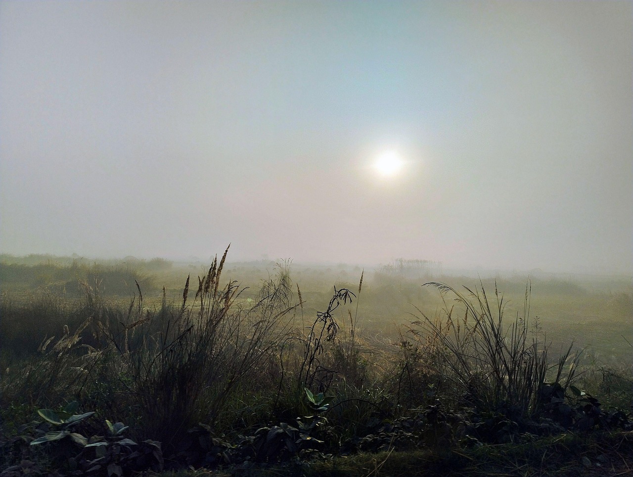 Lever Du Soleil Matin Nature - Photo gratuite sur Pixabay - Pixabay