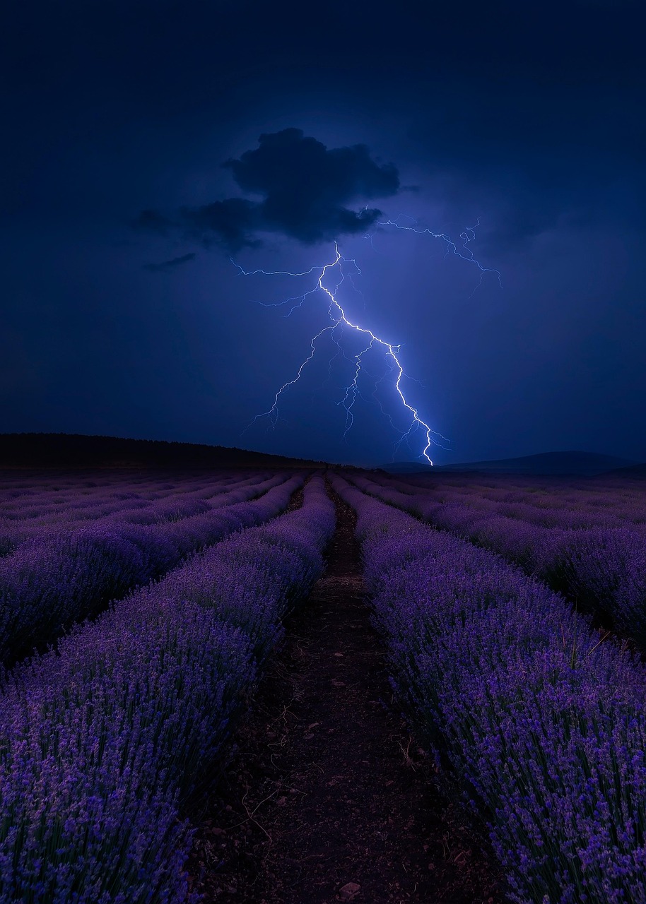 Lavender Night Lightning - Free photo on Pixabay - Pixabay