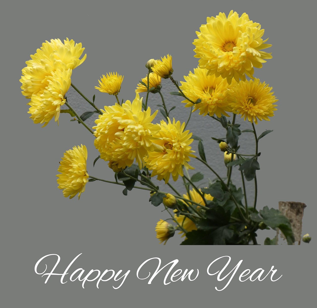 黄色的花 新年快乐 花朵 - Pixabay上的免费照片 - Pixabay