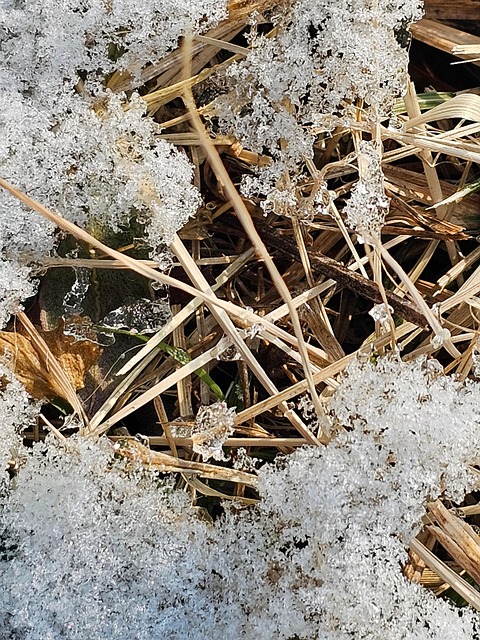 La Glace Hiver Neige - Photo gratuite sur Pixabay - Pixabay