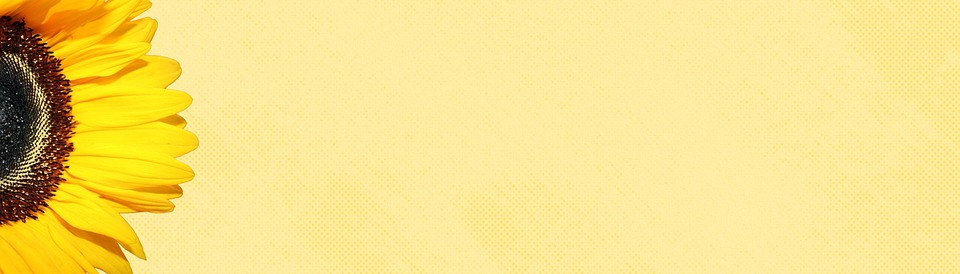 Download Sunflower, Flower, Banner. Royalty-Free Stock Illustration ...
