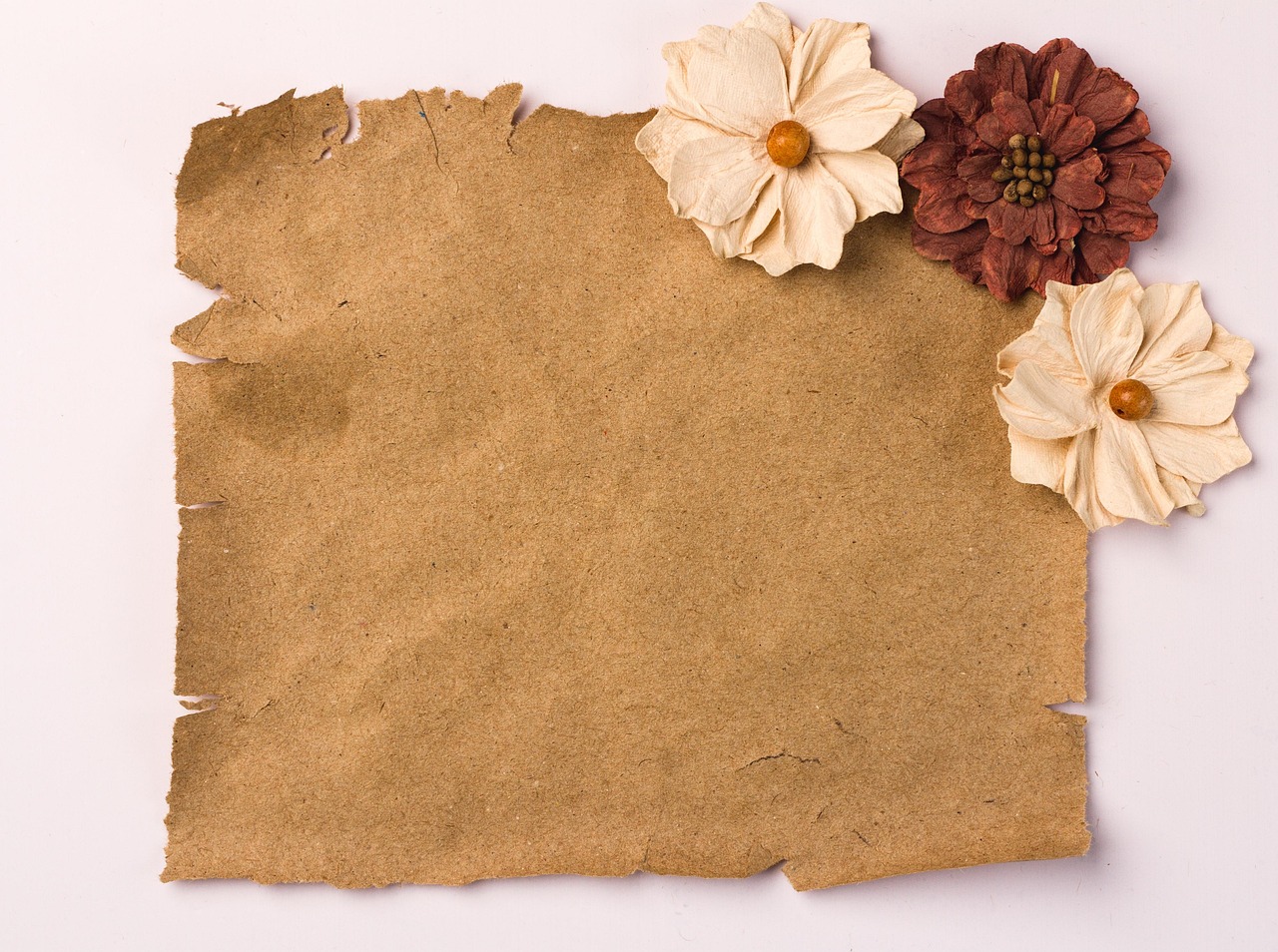 Parchment Torn Edges - Free photo on Pixabay - Pixabay