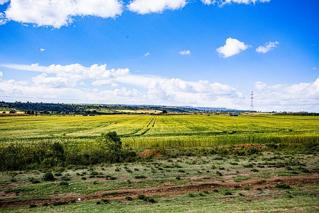 Kenya Land Lanscape - Free photo on Pixabay - Pixabay