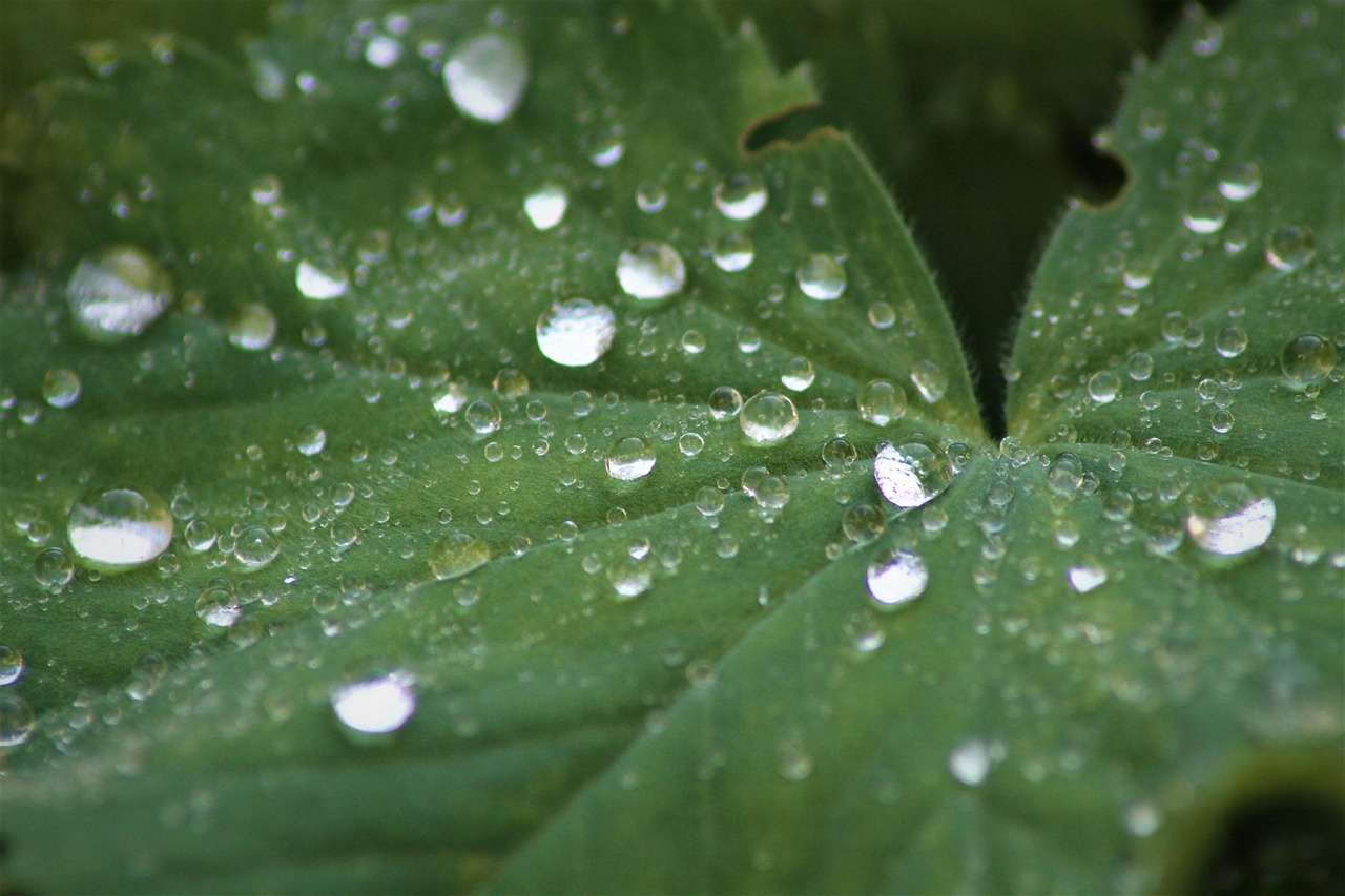 Water Nature Summer - Free photo on Pixabay - Pixabay