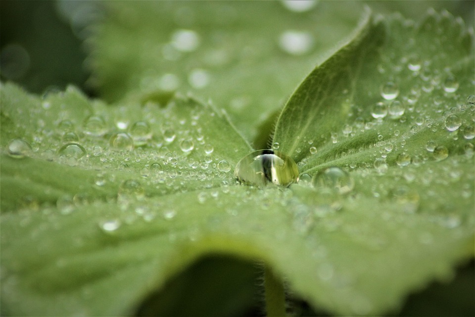 Wasser Natur Sommer - Kostenloses Foto auf Pixabay - Pixabay