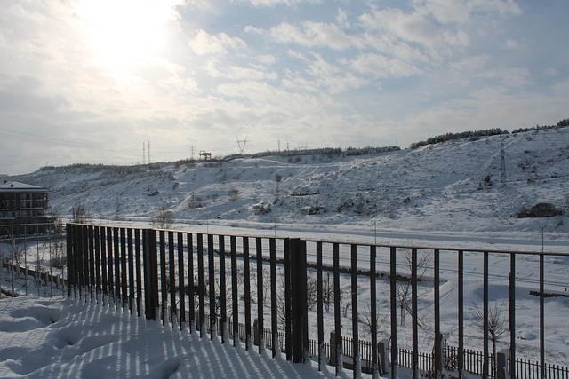 Winter Afternoon Ice Snow - Free photo on Pixabay - Pixabay