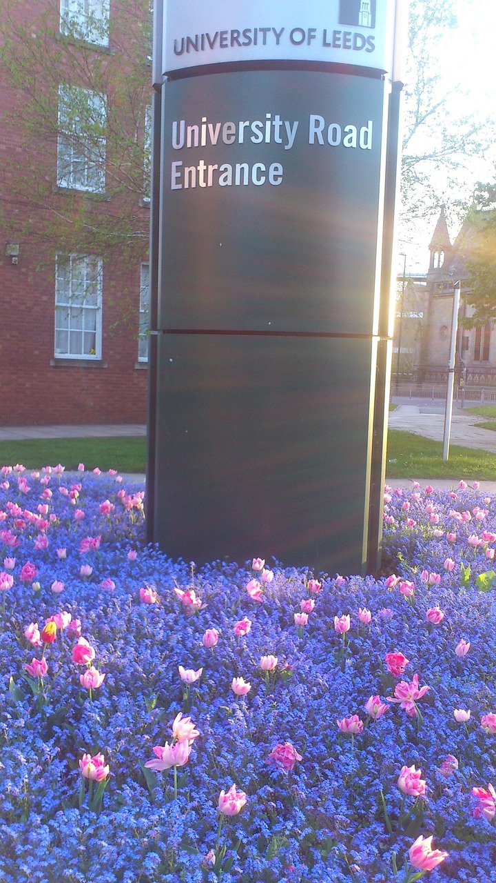 Universidad De Leeds Flores - Foto gratis en Pixabay - Pixabay