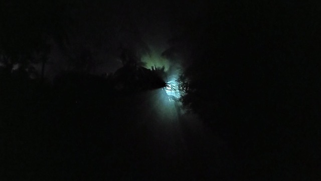 Darkness Creepy Dusk - Free photo on Pixabay - Pixabay