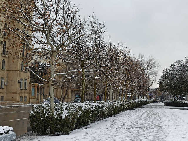 Baku Azerbaijan Snow - Free photo on Pixabay - Pixabay