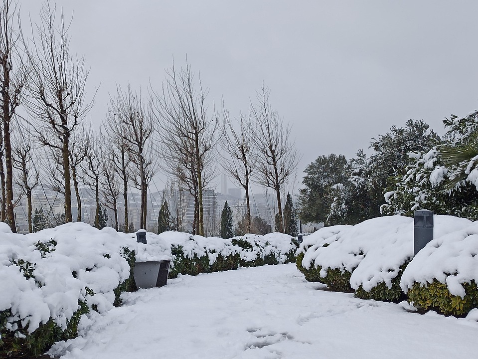 Baku Azerbaijan Snow - Free photo on Pixabay - Pixabay