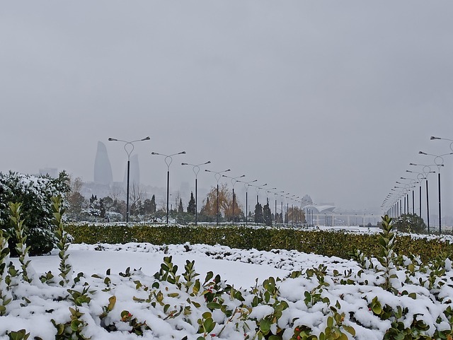 Baku Azerbaijan Snow - Free photo on Pixabay - Pixabay