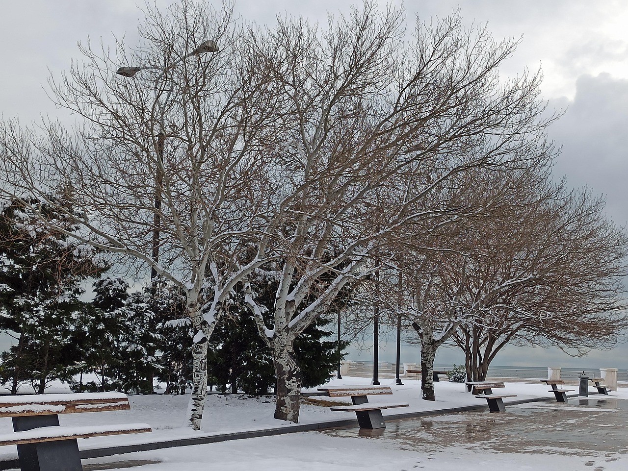 Baku Azerbaijan Snow - Free photo on Pixabay - Pixabay