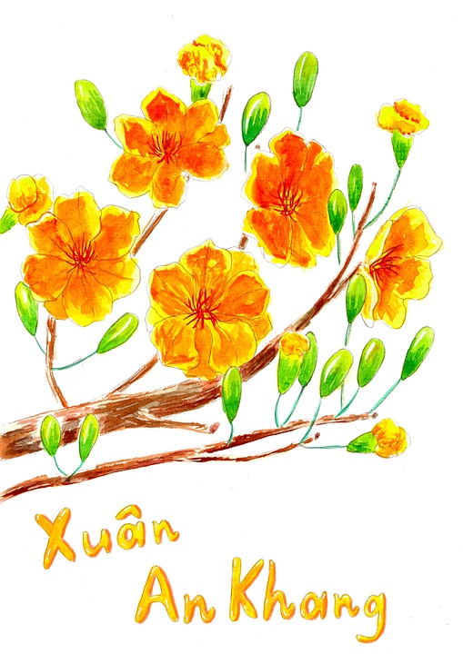 Download Apricot Blossom, Tet Flowers, Tet. Royalty-Free Stock ...