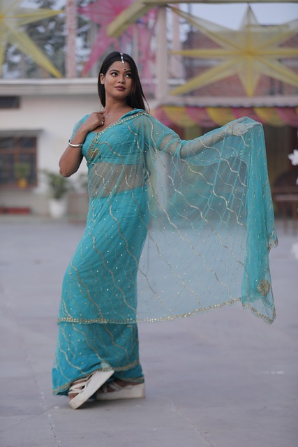 Sunita Singh Sadi Photo Indienne - Photo gratuite sur Pixabay - Pixabay