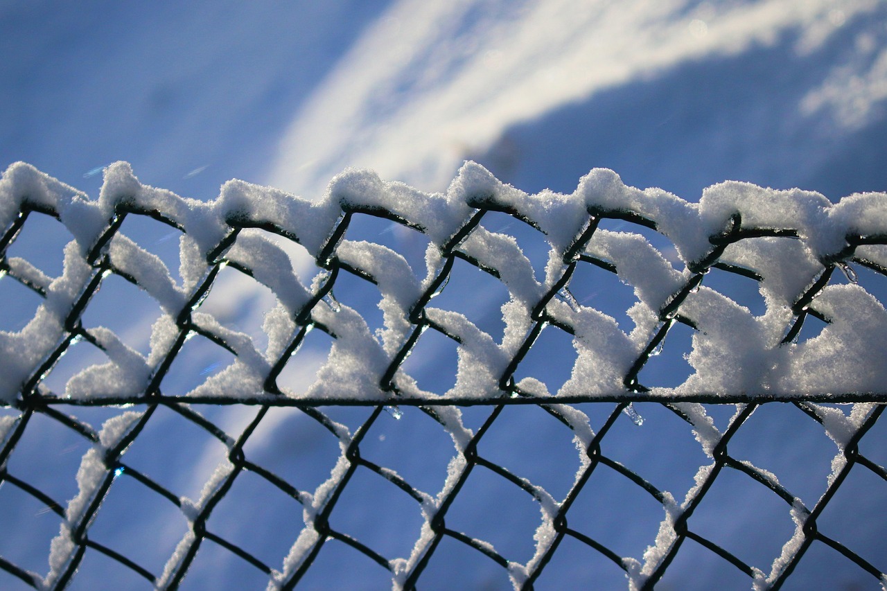 Fence Wire Mesh Winter - Free photo on Pixabay - Pixabay