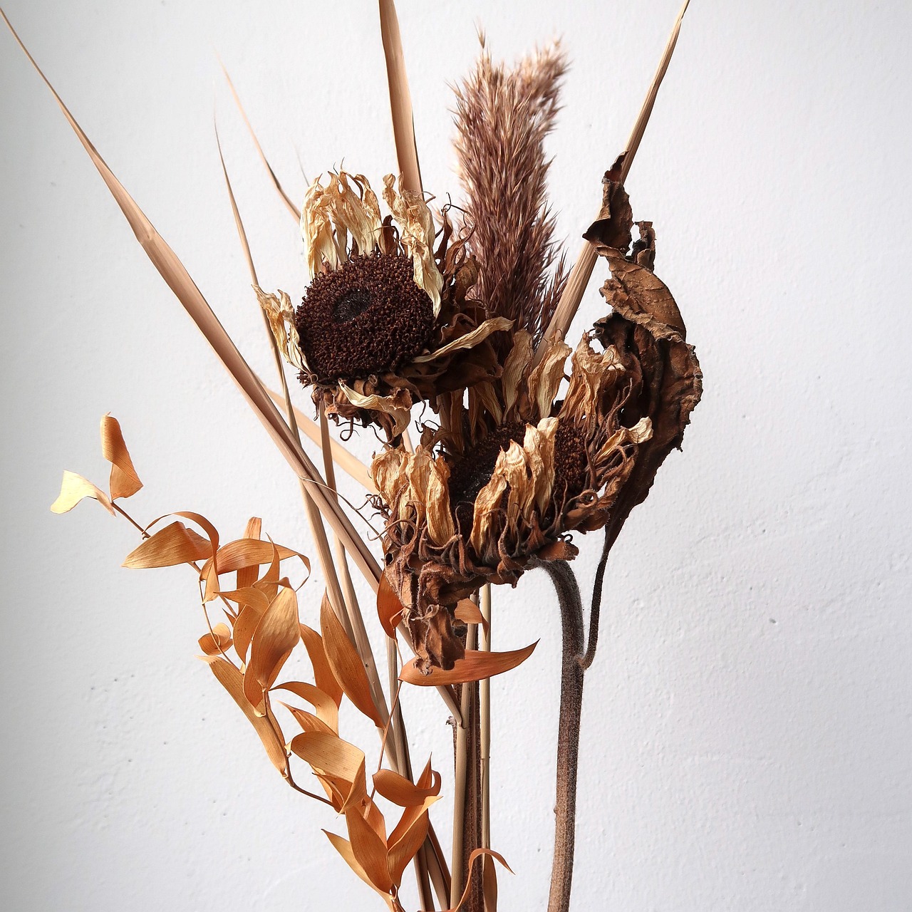 Dried Flowers Nature Flower - Free photo on Pixabay - Pixabay
