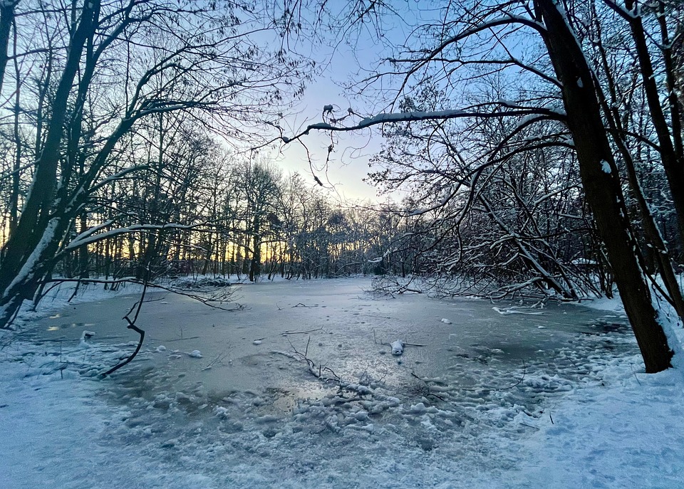 Winter Schnee Eis - Kostenloses Foto auf Pixabay - Pixabay