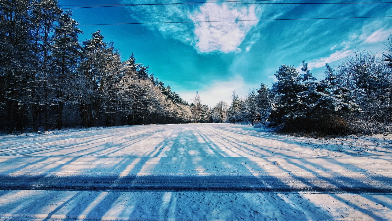 Snow Winter Nature - Free photo on Pixabay - Pixabay