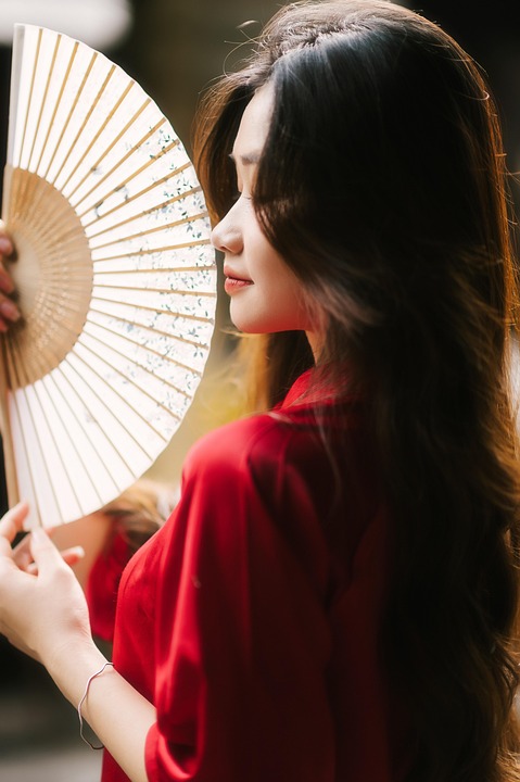 Vietnam Woman Ao Dai Free Photo On Pixabay Pixabay 8266