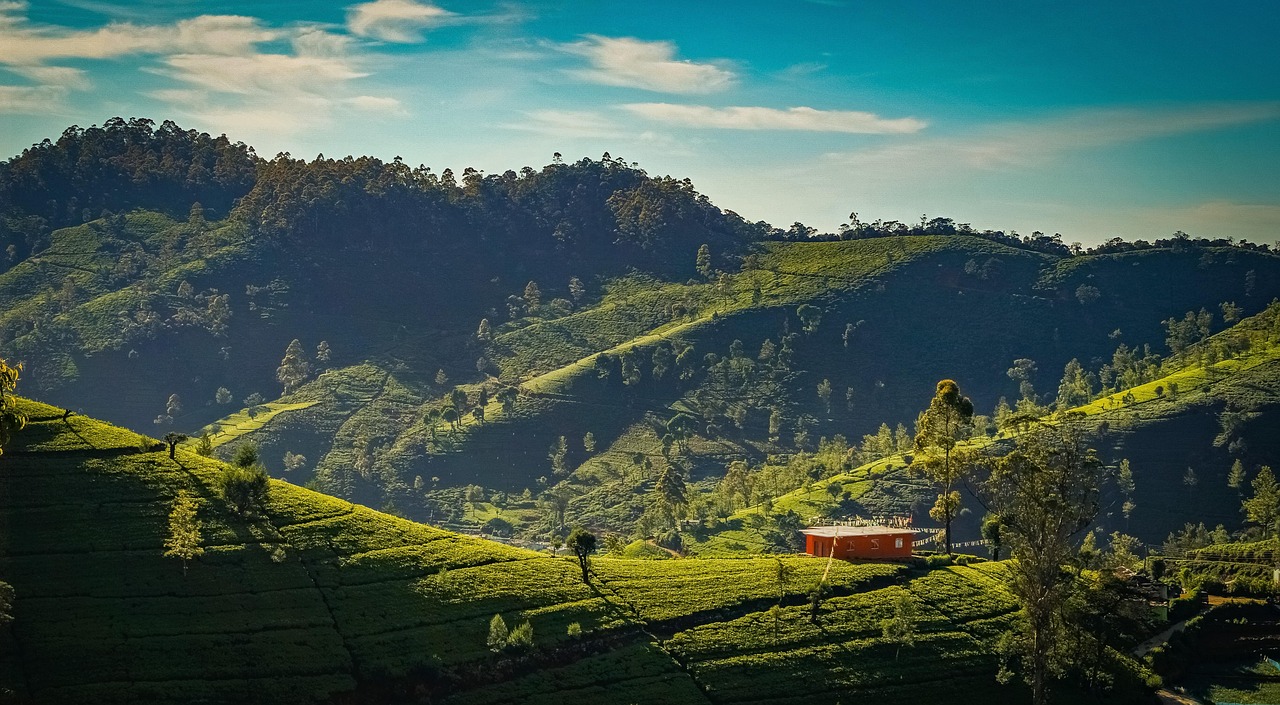 Hills Nature Landscape - Free photo on Pixabay - Pixabay