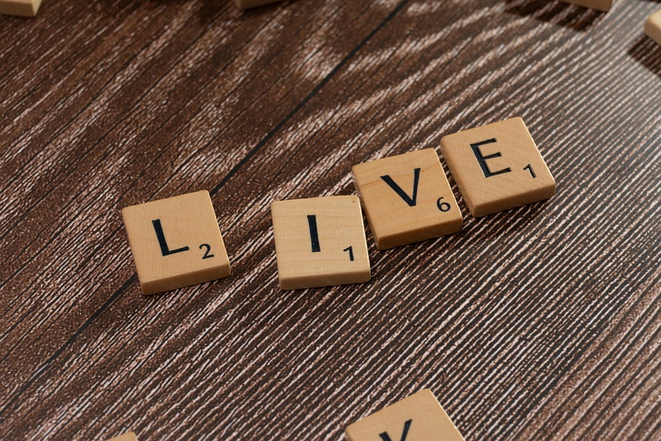 Live Echtzeit Direktübertragung - Kostenloses Foto auf Pixabay - Pixabay