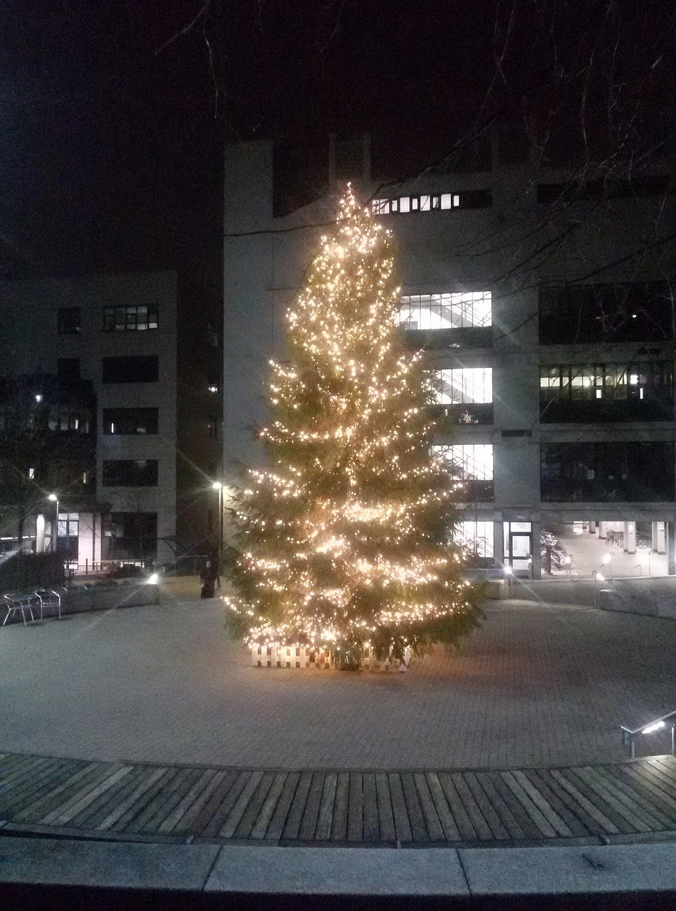University Of Leeds Christmas Tree - Free photo on Pixabay - Pixabay