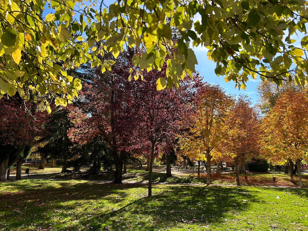 Autumn Nature Brown Colors - Free photo on Pixabay - Pixabay