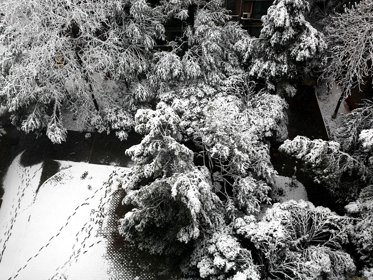 Snow Scene Winter - Free photo on Pixabay - Pixabay