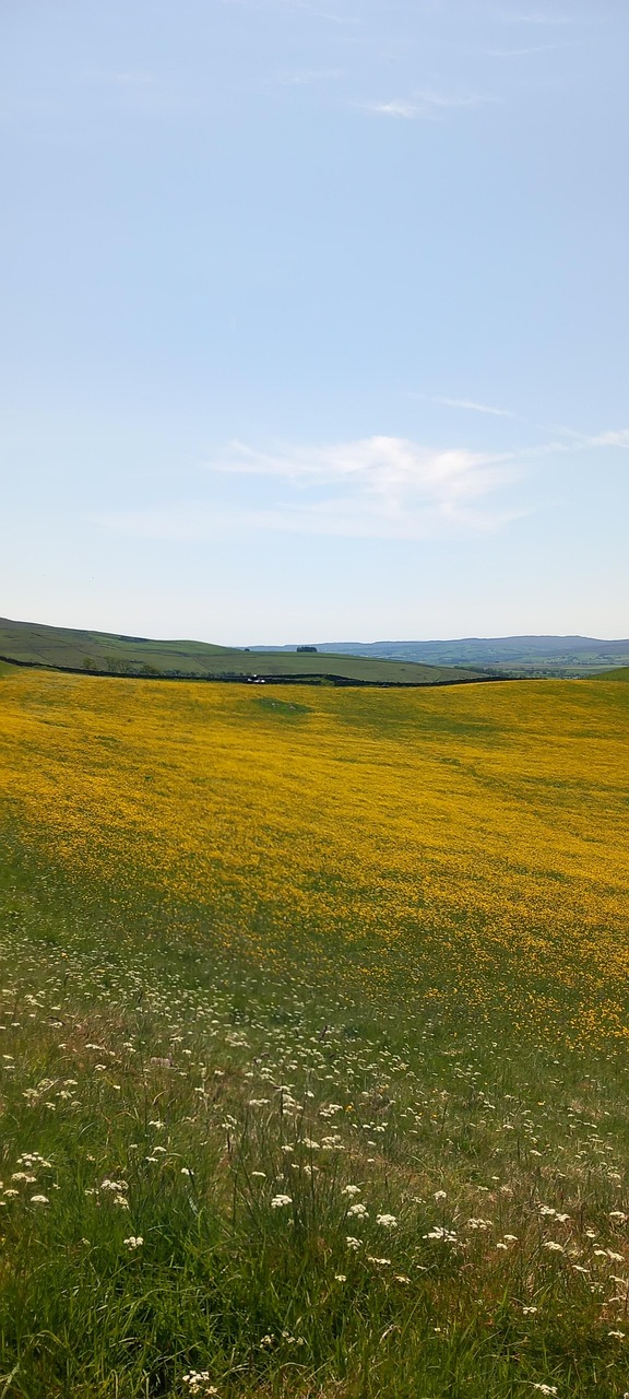 Nature Vert Paysage - Photo gratuite sur Pixabay - Pixabay
